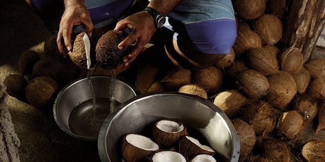 Samoan families earn money exporting coconut oil and fine mats - TP+