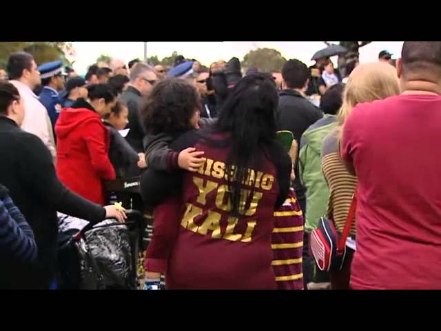 Fungavaka family strikes back - TP+