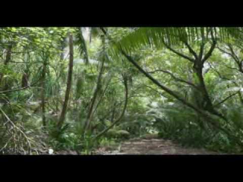 Olohega or Swains Island Part 2 of 3 Tagata Pasifika - TP+