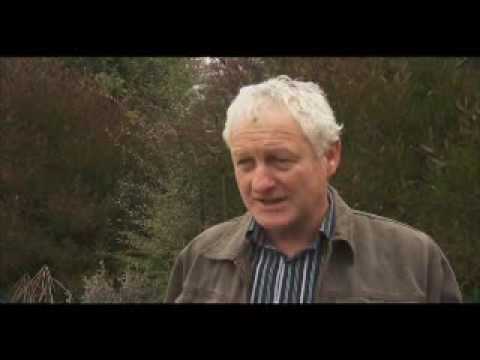 TAGATA PASIFIKA: RSE New Zealand Recognised Seasonal Employers Scheme - TP+