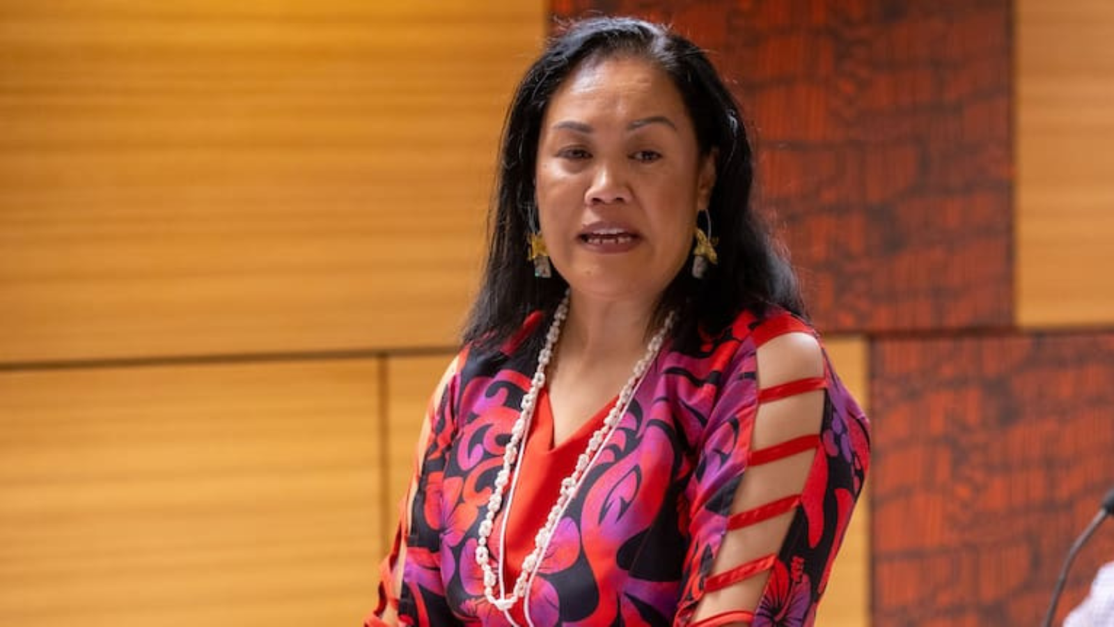 Auckland Council under spotlight after Fa’anānā Efeso Collins’ death - TP+